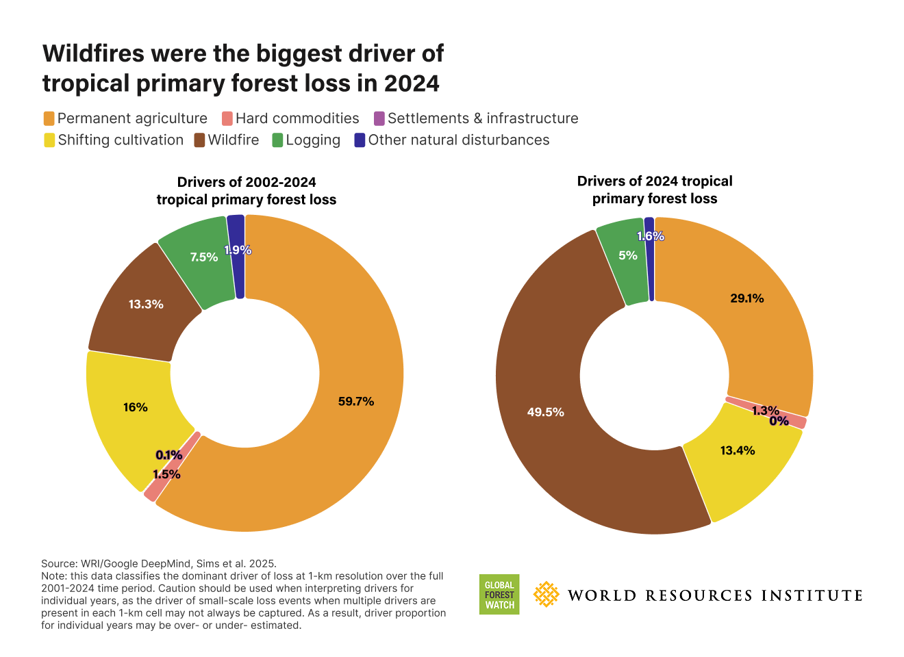 Kebakaran Menjadi Penyebab Kehilangan Hutan Tropis Terparah Sepanjang 2024 | World Resources ...